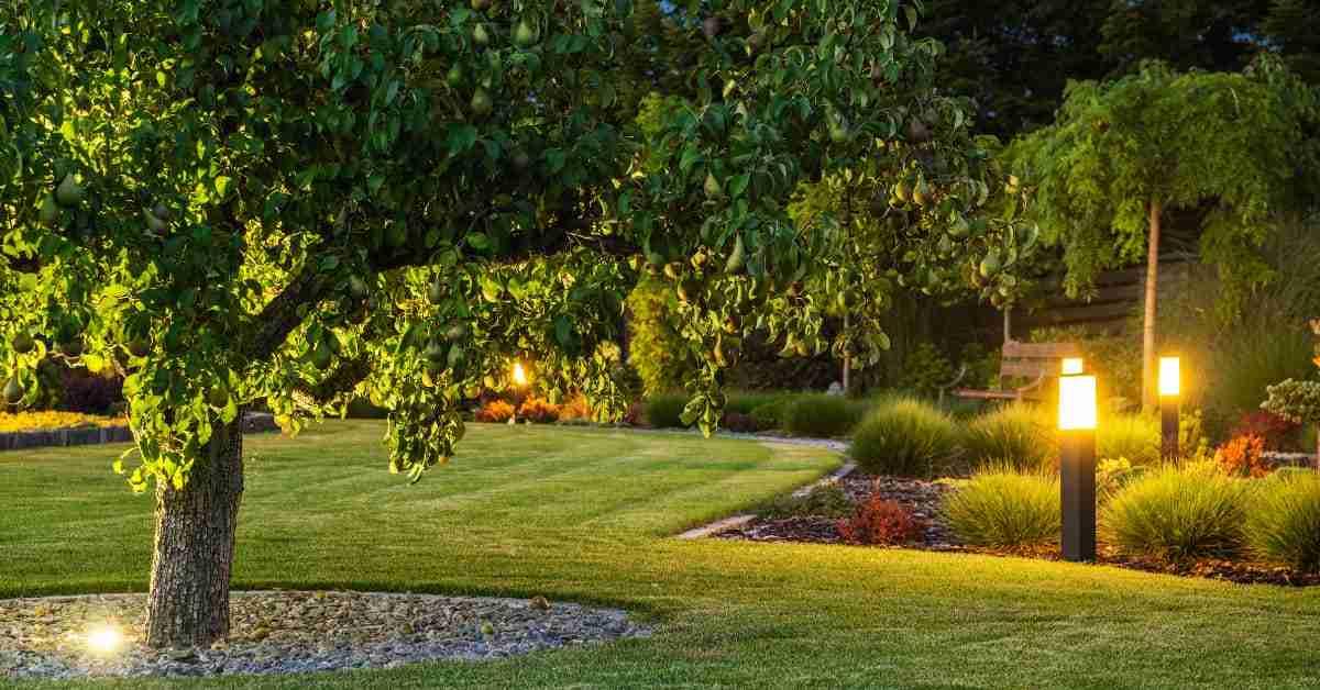 Professional Outdoor Lighting Solutions to Transform Your Property ...